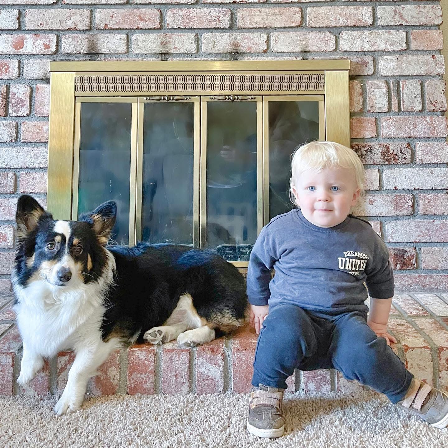 Are Corgis Good With Kids? A Family-Friendly Guide – Zira the Corgi